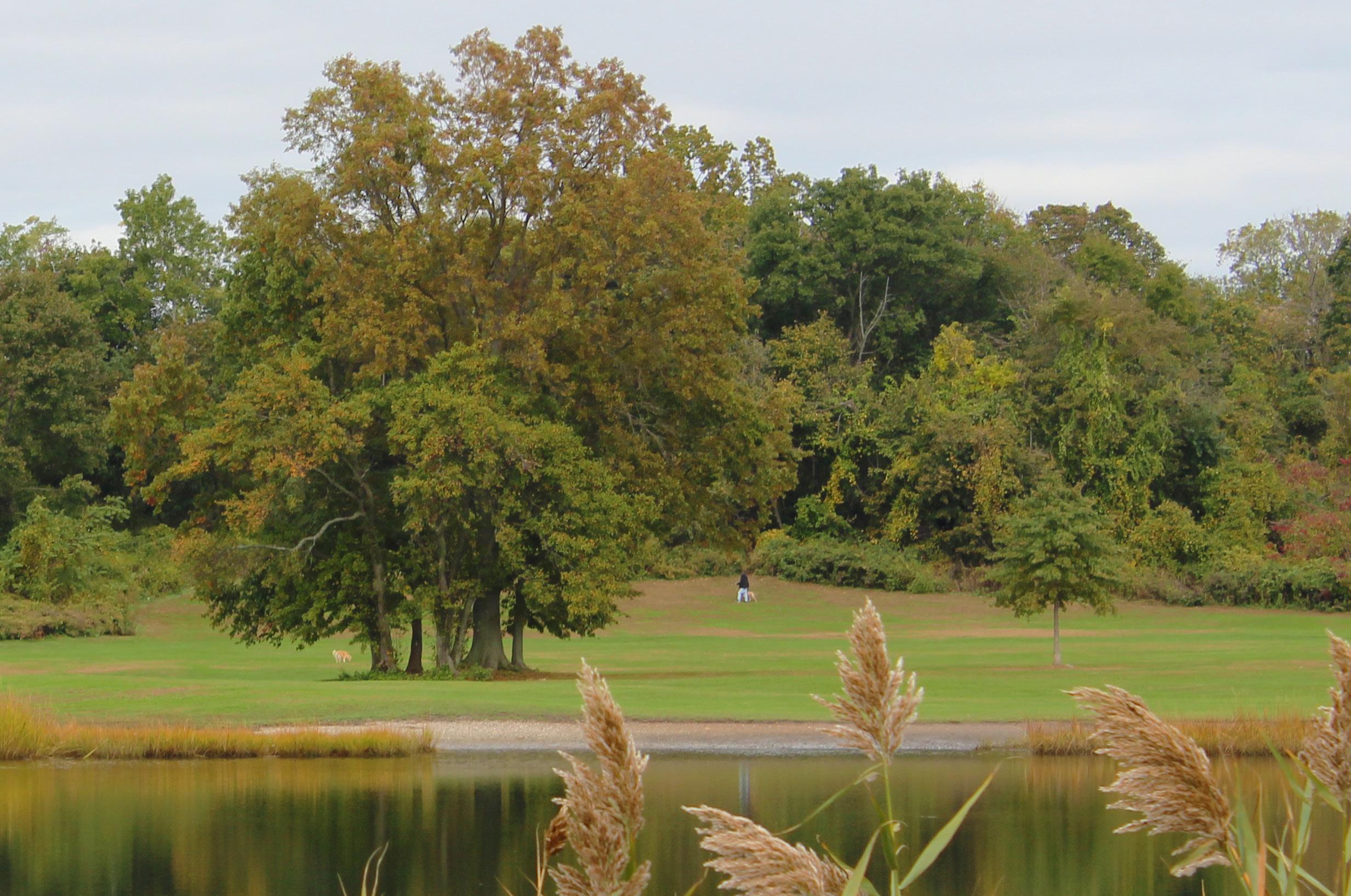 City of Norwalk Recreation and Parks Master Plan Draft by Nick Kuhn ...