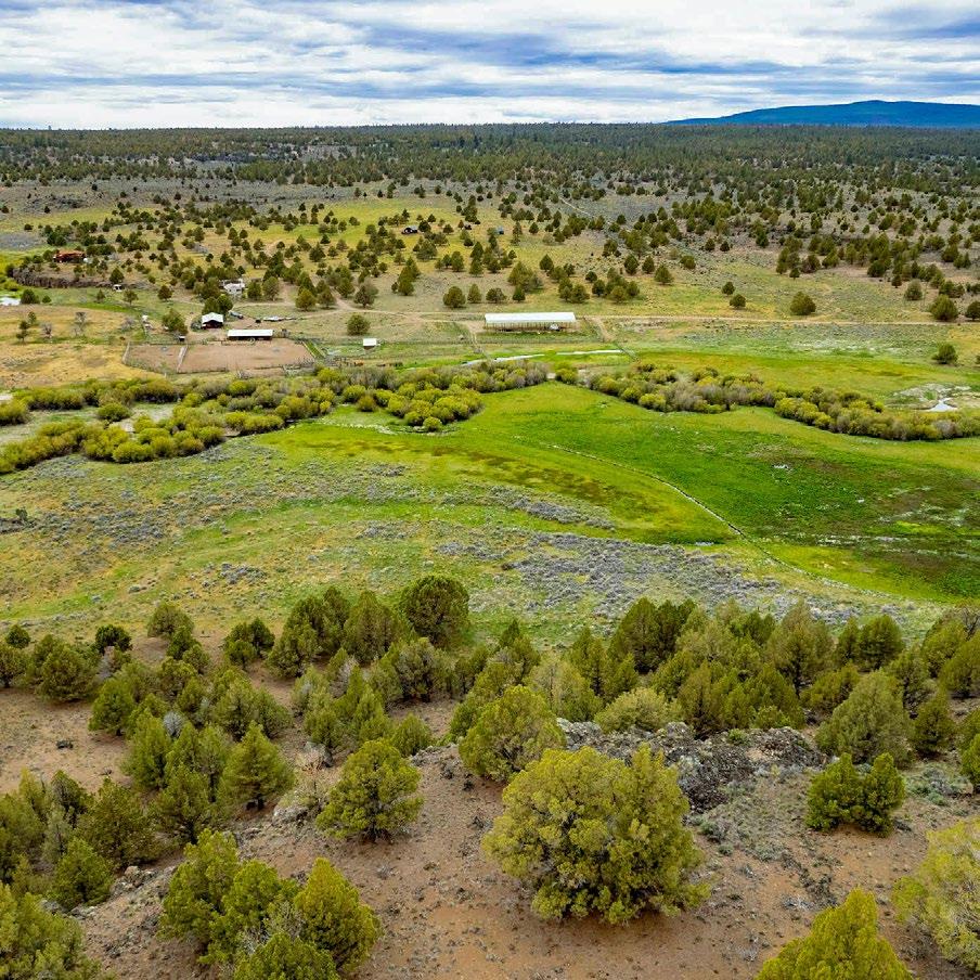 Pitcher Ranch | Fay Ranches by Fay Ranches - Issuu