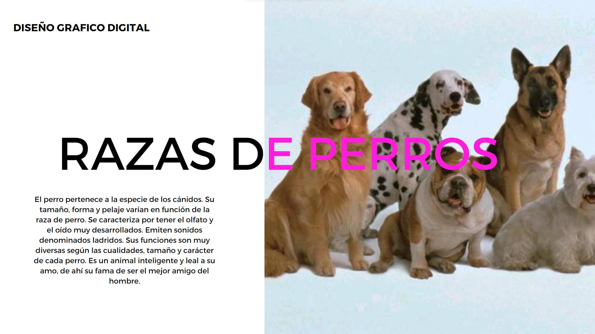 Razas de Perros -Genesis Salas Olaechea by Genesis - Issuu