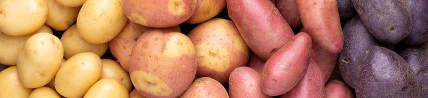 Sysco Core Product Catalogue by Sysco Canada - Issuu