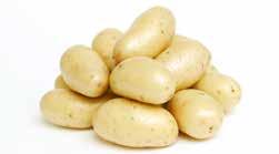 Sysco Core Product Catalogue by Sysco Canada - Issuu