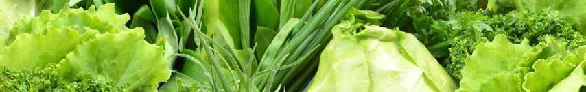 Sysco Core Product Catalogue by Sysco Canada - Issuu