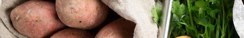 Sysco Core Product Catalogue by Sysco Canada - Issuu