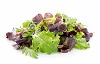 Sysco Core Product Catalogue by Sysco Canada - Issuu