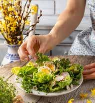 Sysco Core Product Catalogue by Sysco Canada - Issuu