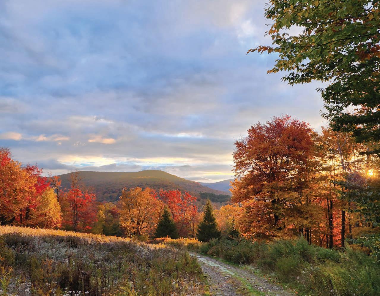 Discover Your Nature Together - Family Retreats at Frost Valley YMCA by ...