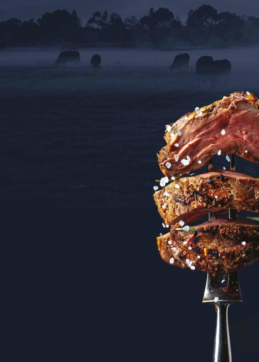 PFD Product Reference Guide SA MAY 2023 by PFD Food Services - Issuu