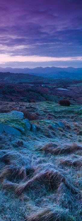 Warrenpoint Visitor Map by VisitMourne - Issuu