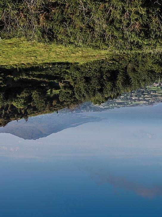 Warrenpoint Visitor Map by VisitMourne - Issuu