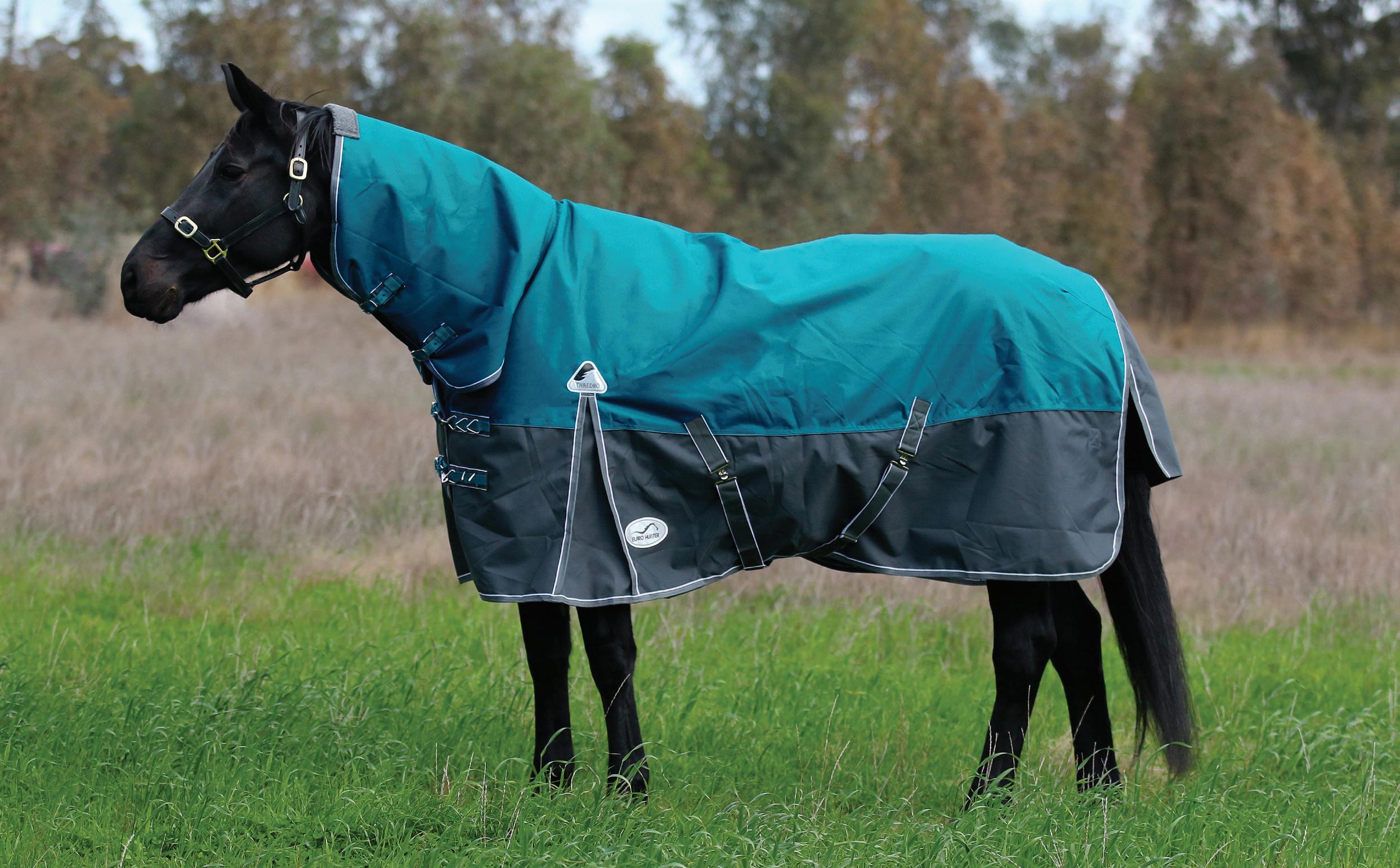 Saddleworld Rug & Accessories Guide by Saddleworld - Issuu