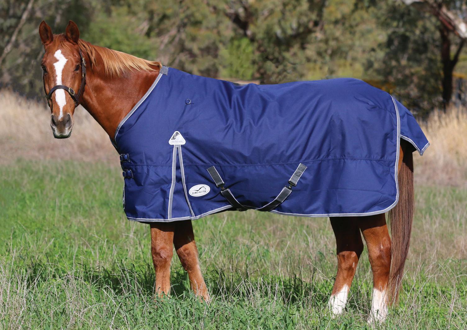 Saddleworld Rug & Accessories Guide by Saddleworld - Issuu