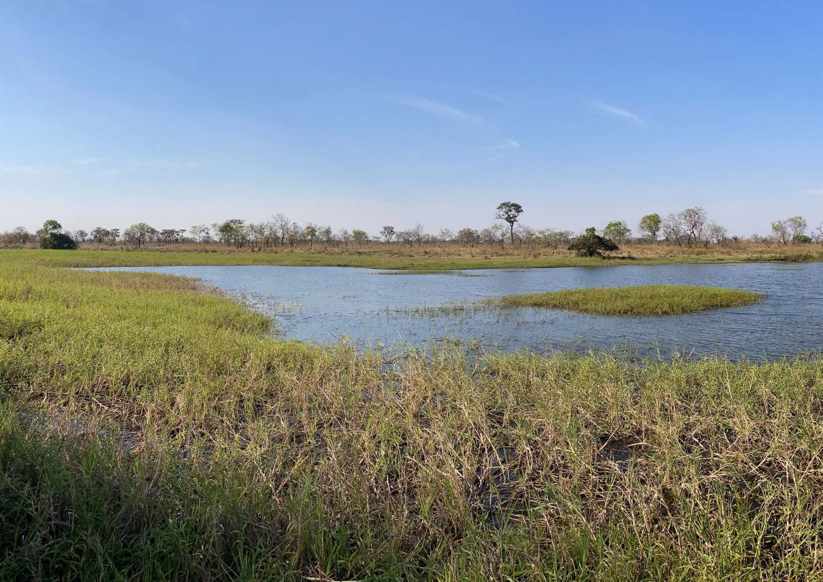 NIASSA MOZAMBIQUE AREA 1 - HUNTING 2023 - 2024 by Huntersinc - Issuu