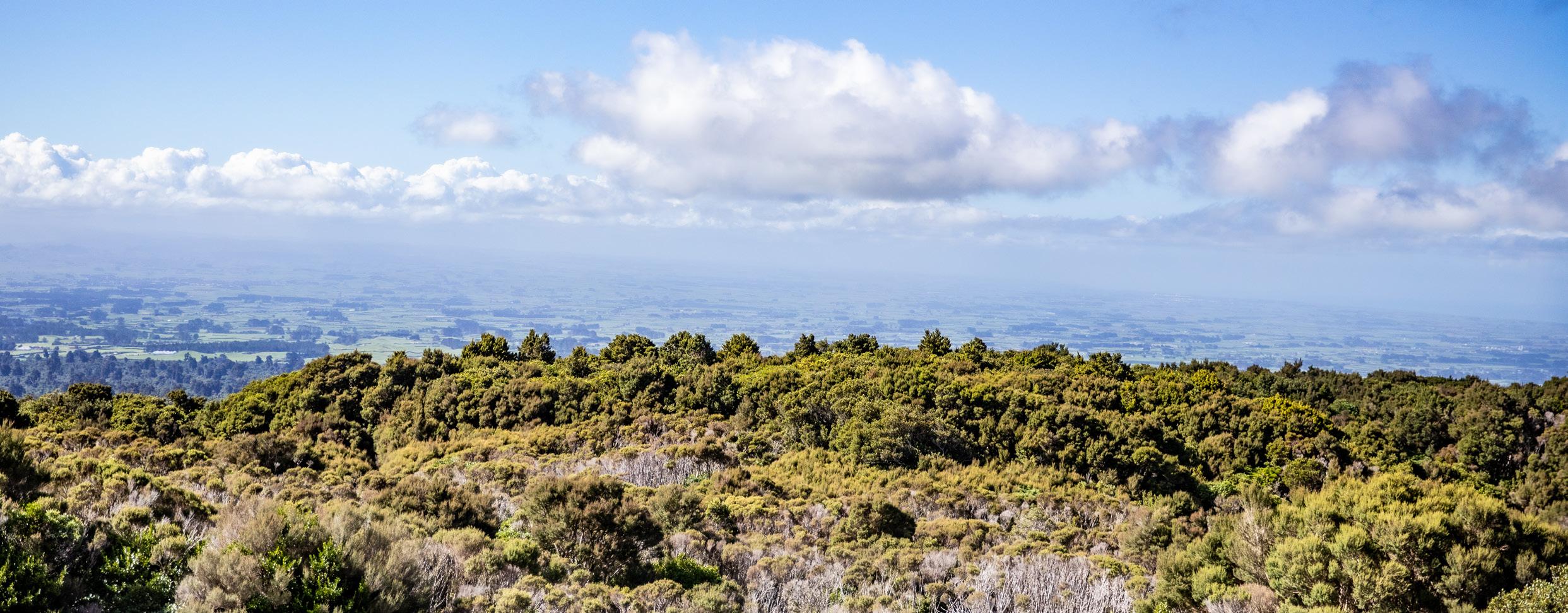 He Pākiki: Takurua 2023 Issue by Ngāruahine - Issuu