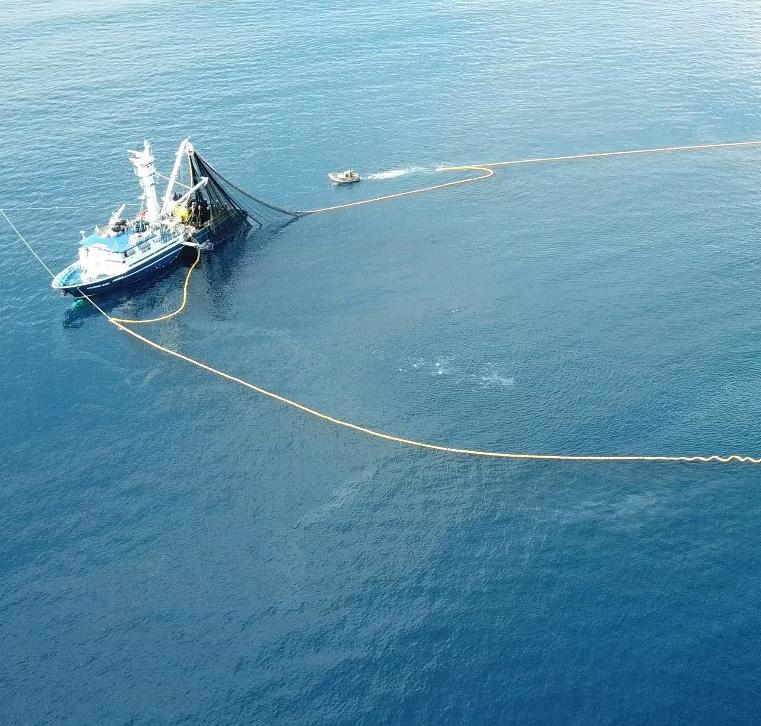 Tri Marine Annual Sustainability Report 2022 by Tri Marine Group - Issuu