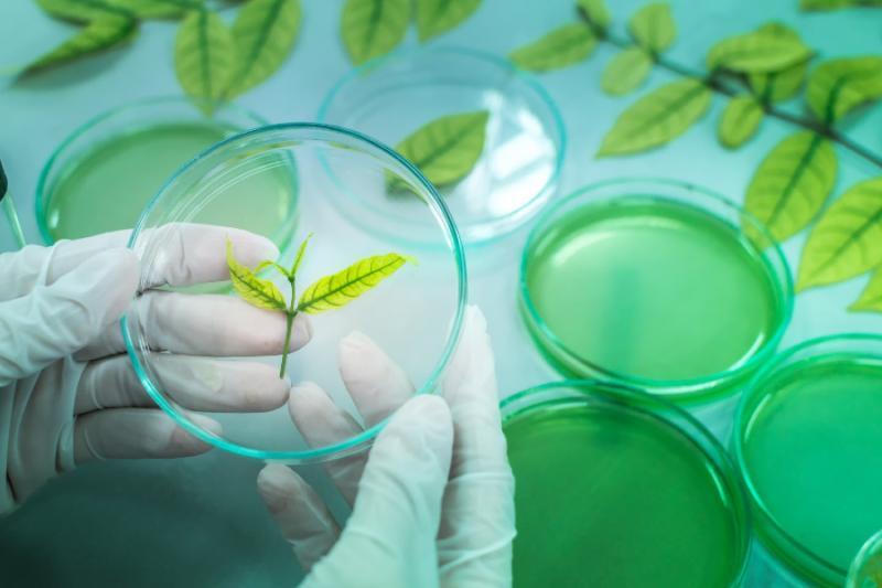 Plant Tissue Analysis Market Unlocking The Potential Of Precision Plant Tissue Analysis Market Unlocking The Potential Of Precision