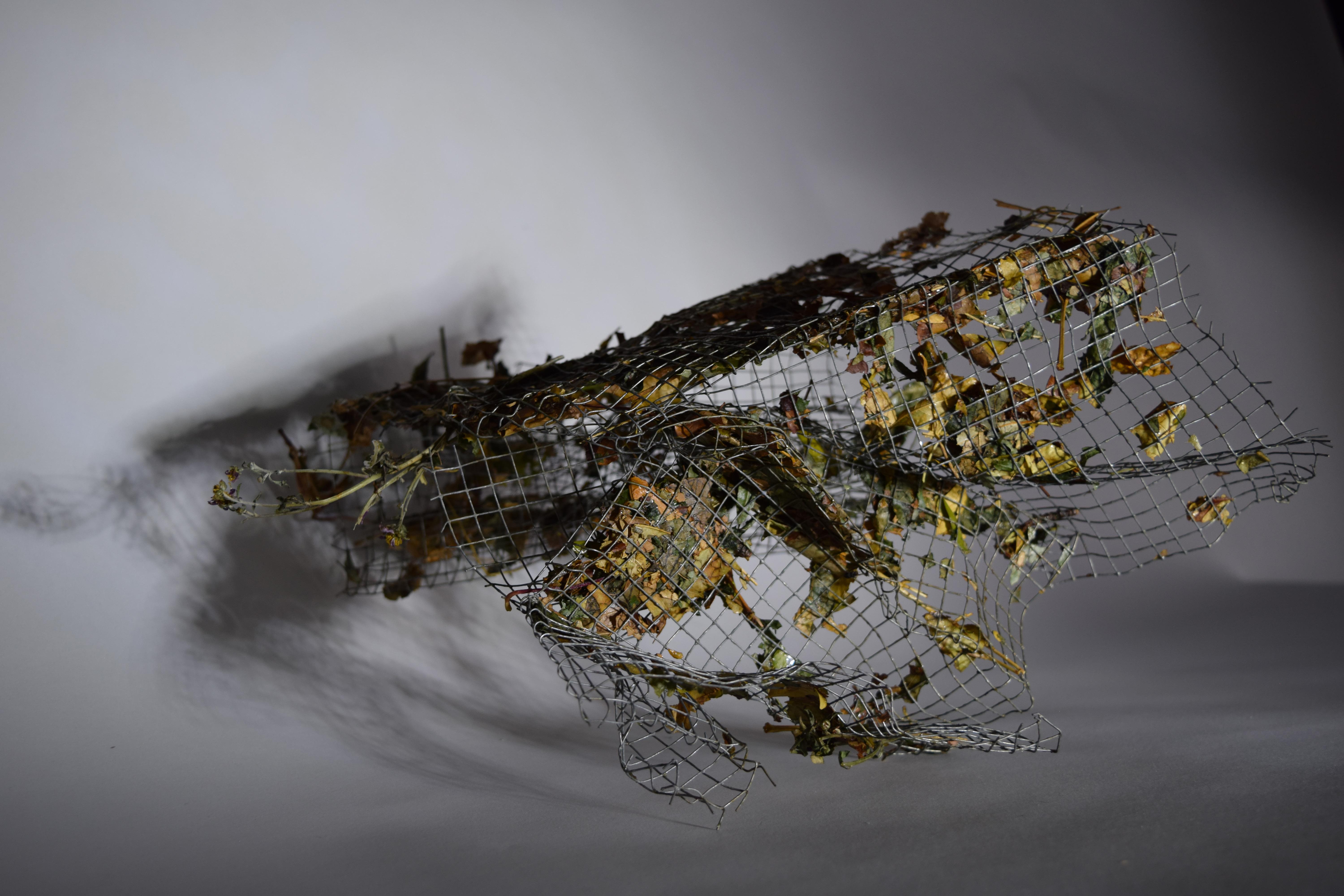 Sharon Kim's Portfolio by Sharon Kim - Issuu