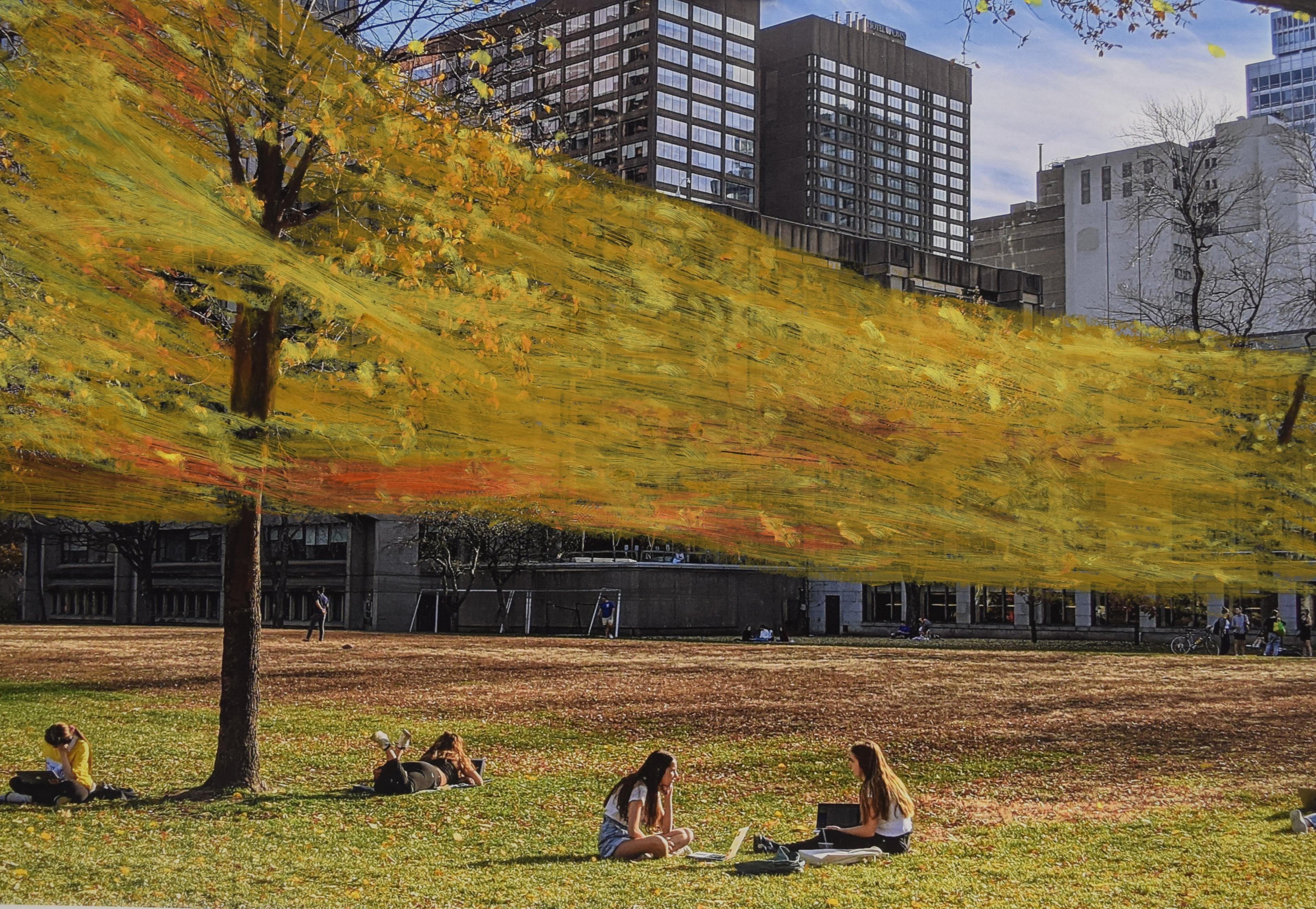 Sharon Kim's Portfolio by Sharon Kim - Issuu