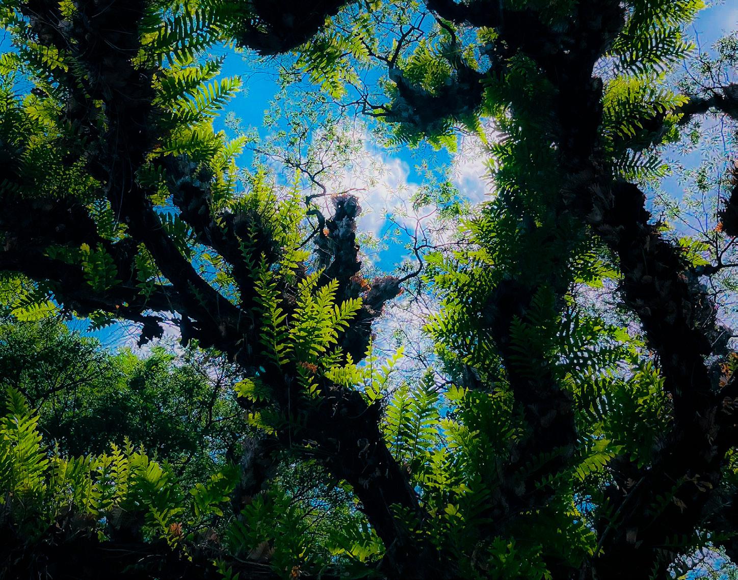 Dilshad K A, Under Graduate Portfolio, College Of Engineering Trivandrum by DILZZ - Issuu