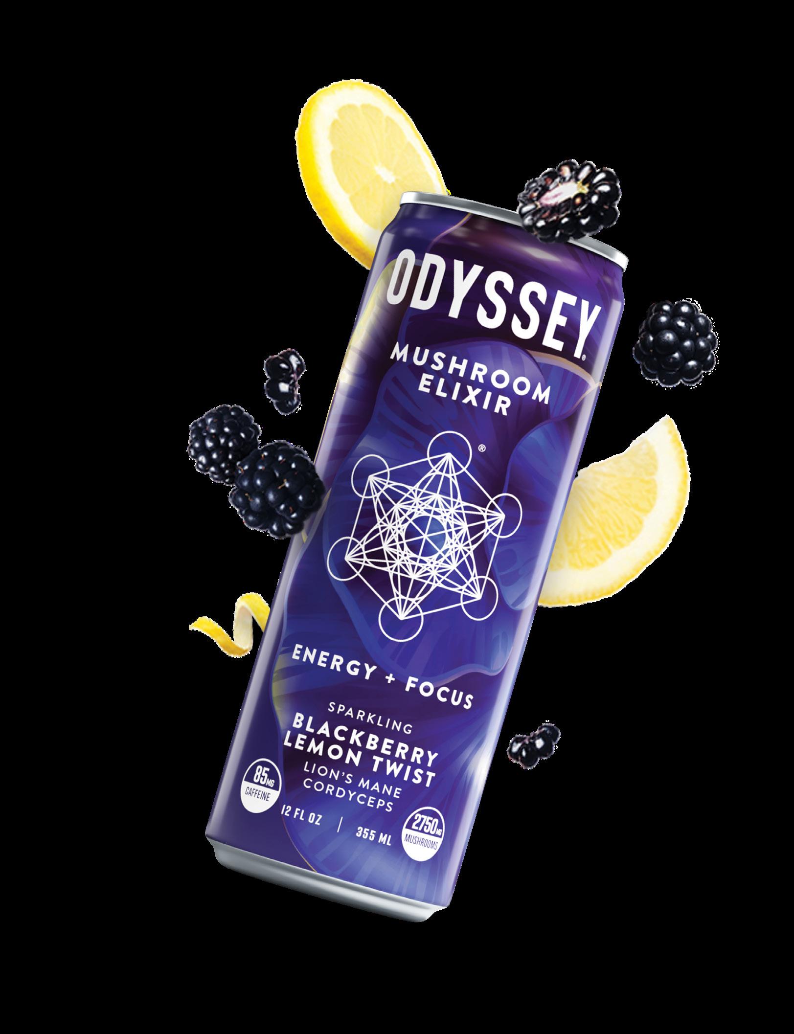 Odyssey Elixir Catalog by OdysseyElixir - Issuu