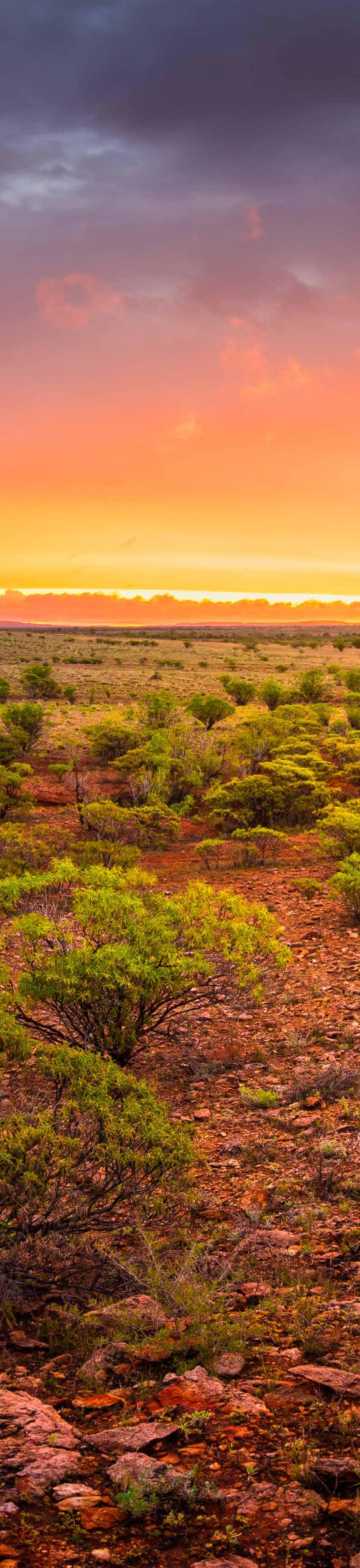 Supporting Indigenous self-determination in health: Lessons learned ...