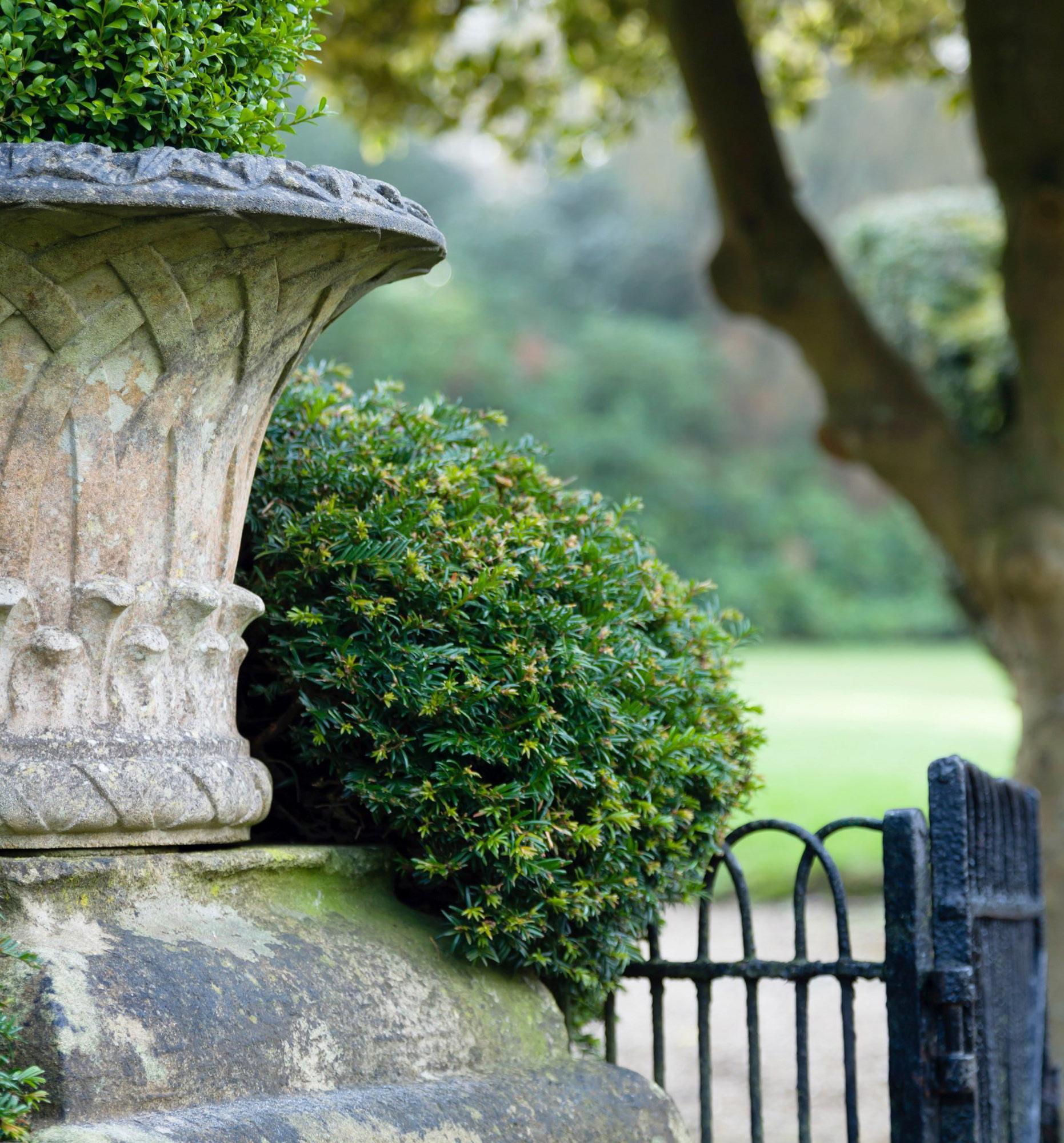 Argonne Ridge by Atlanta Fine Homes Sotheby's International Realty - Issuu