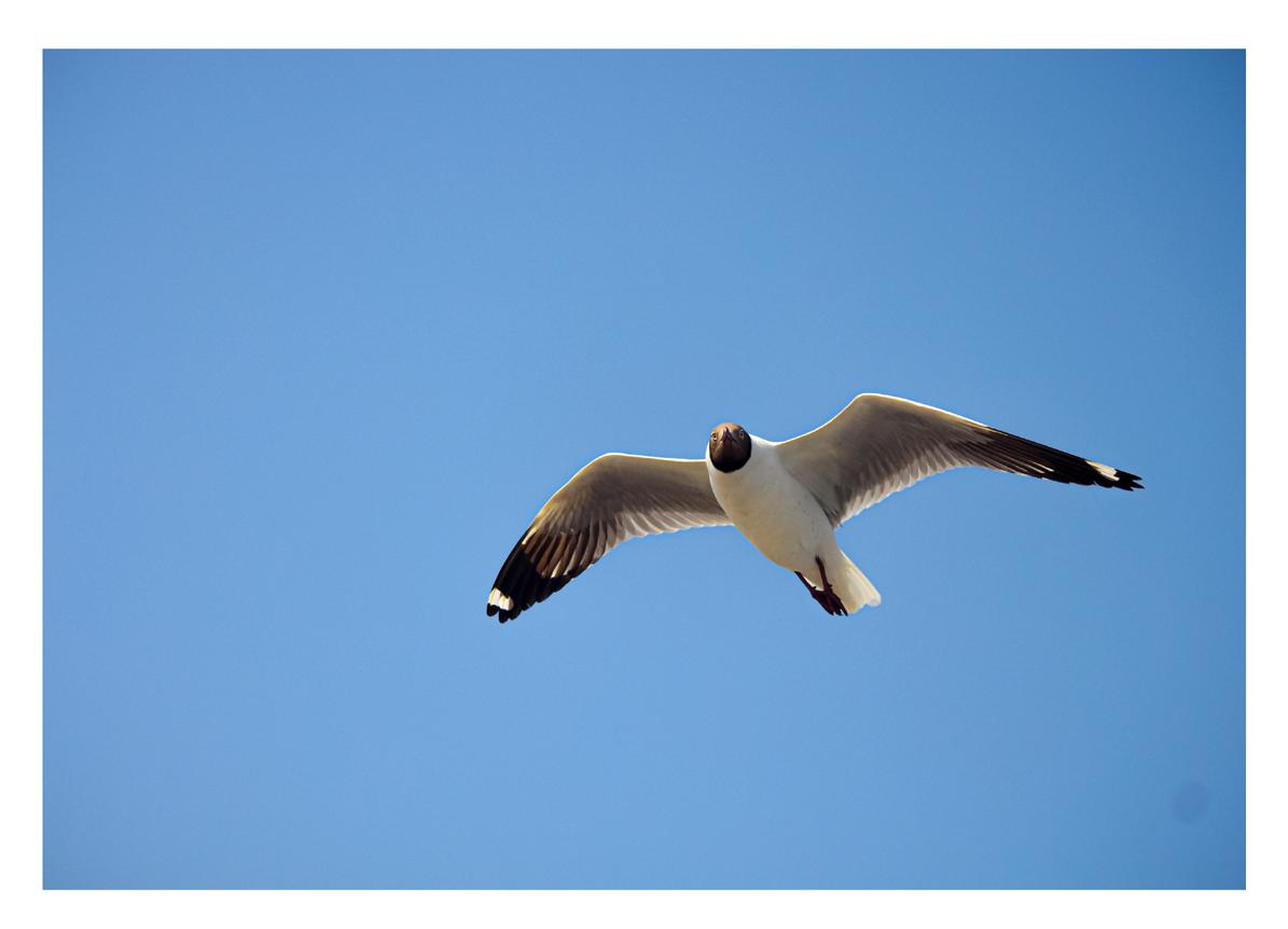 SOUNILE ARCHITECTURE PORTFOLIO 2023 by Sounile S - Issuu