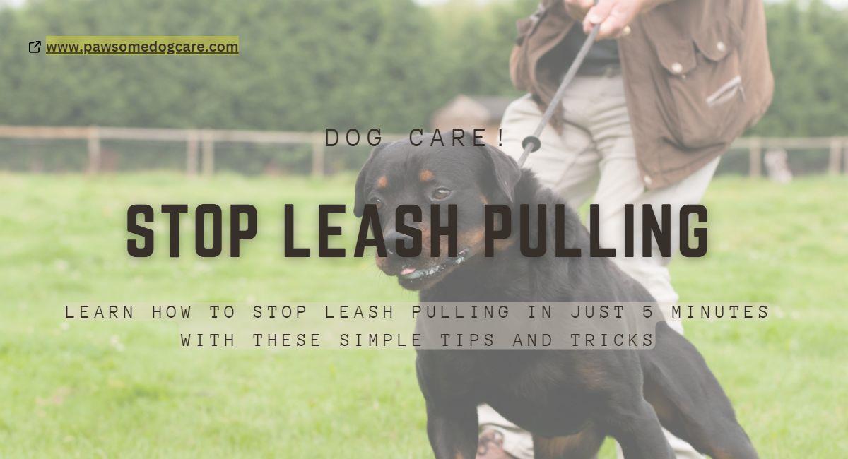 Stop Leash Pulling by Pawsome Dog Care - Issuu