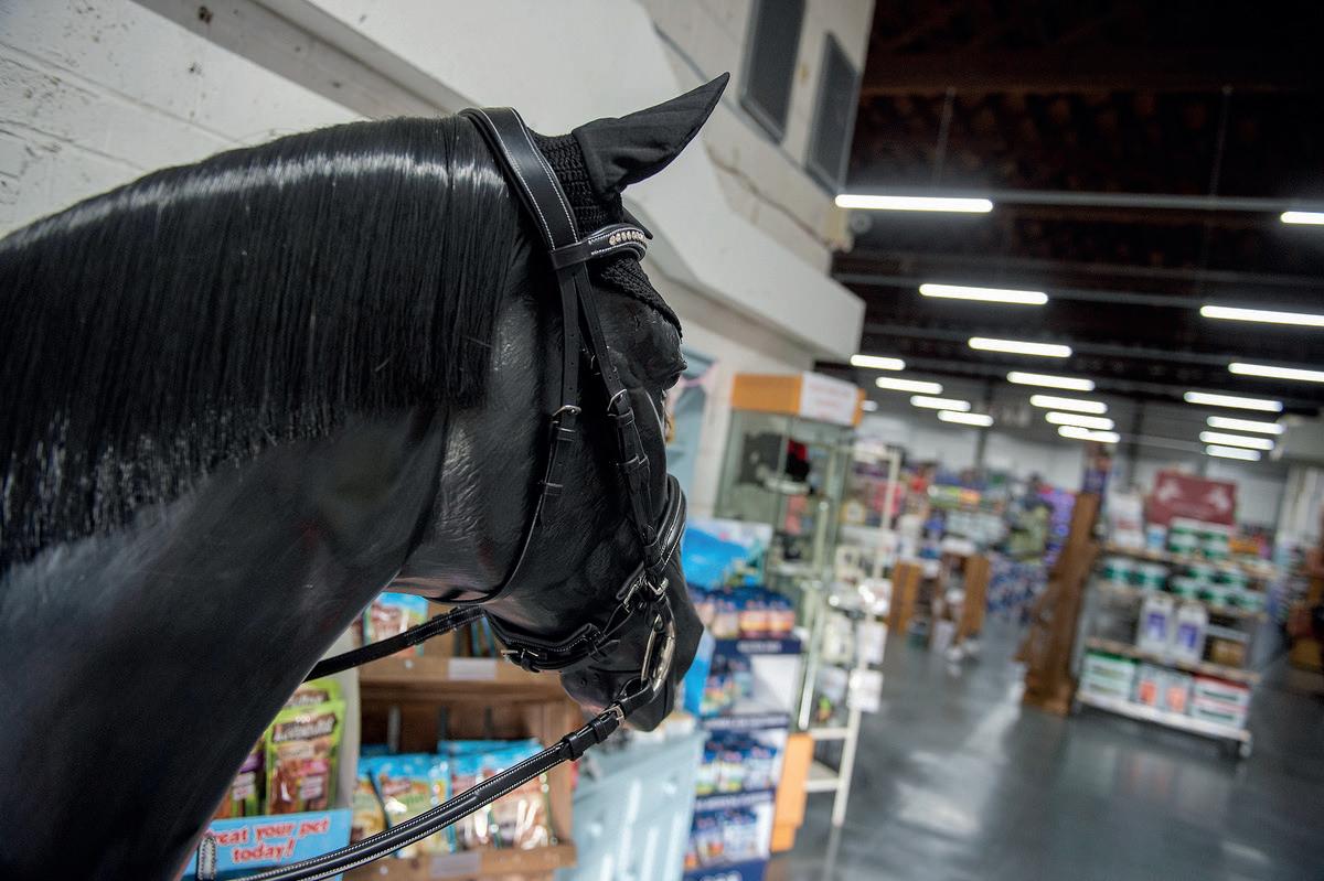 Lillico Attlee Country Stores Magazine SS23 by LillicoAttleeCountryStores - Issuu