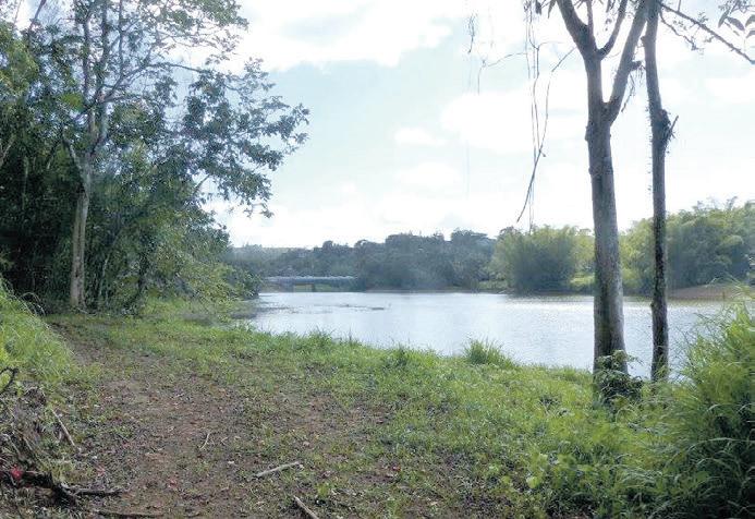 Año 59, Número 3124 by Editorial Semana - Issuu