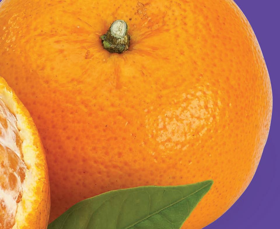 2023 SWFL Summer Fall Travel Guide by Vector & Ink - Issuu