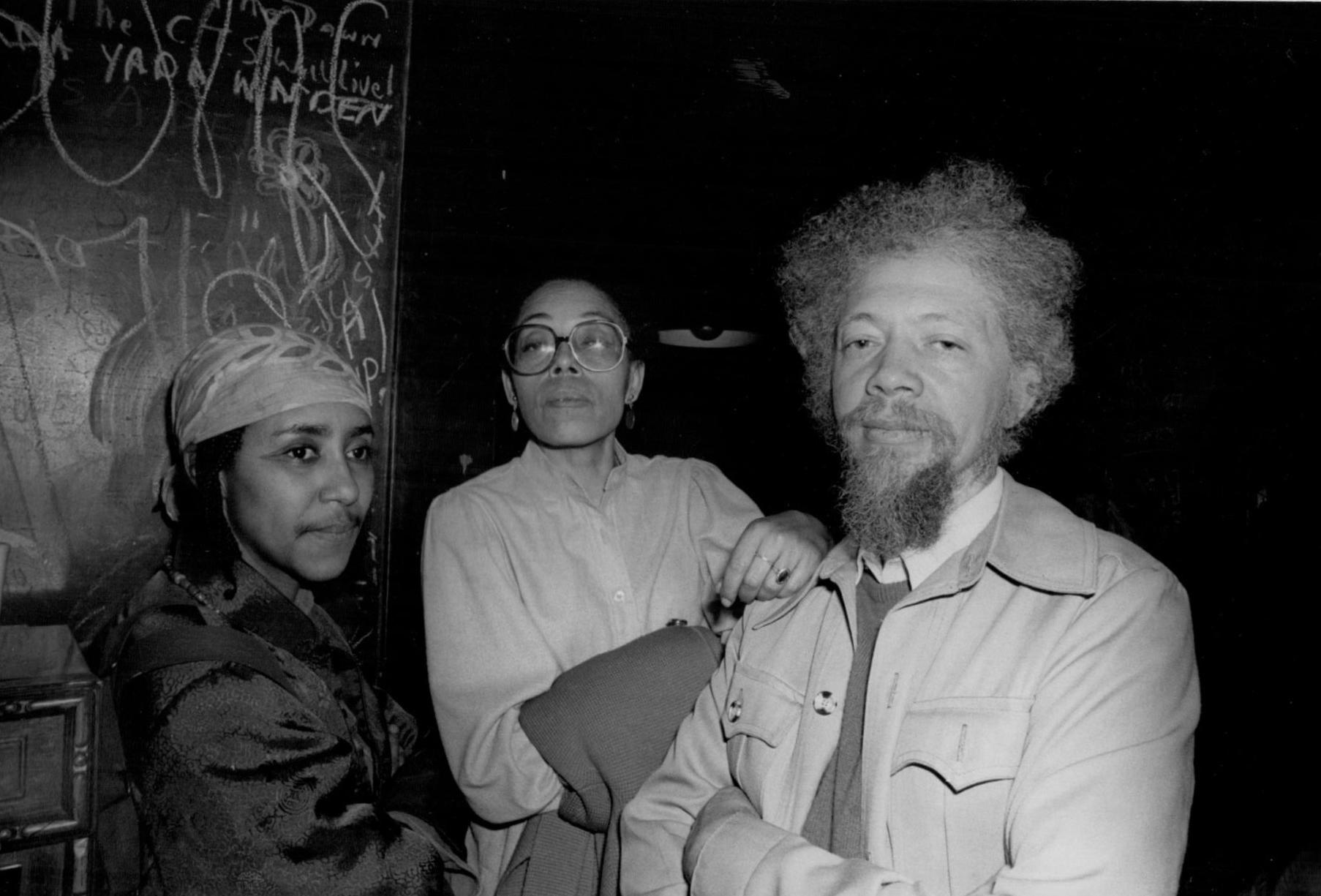 Friends and Agitators: Emma Amos, Camille Billops, Vivian Browne and ...