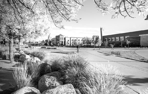 CMU Residence Life Move-in Guide by coloradomesa - Issuu