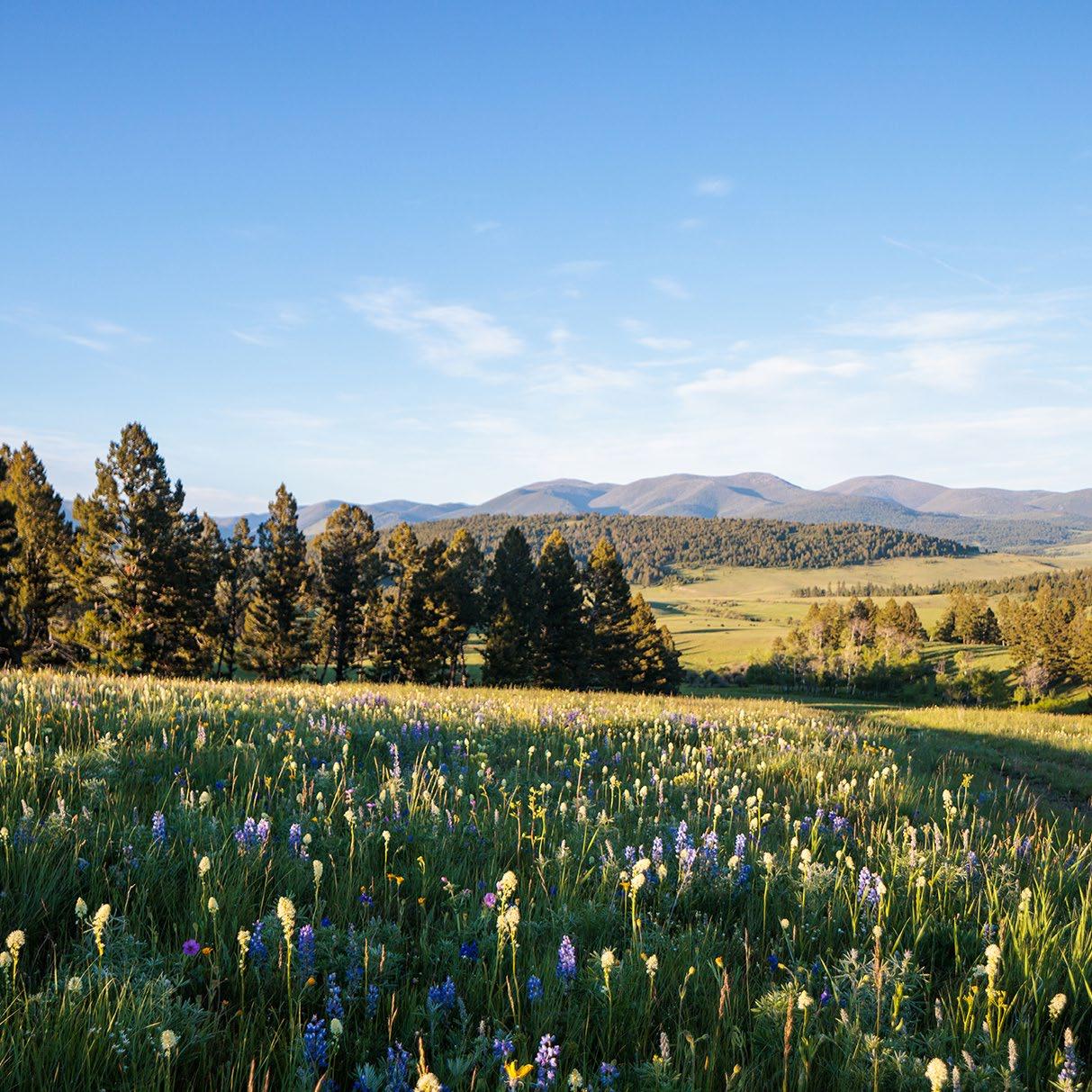 Montana Little Valley Ranch | Fay Ranches by Fay Ranches - Issuu