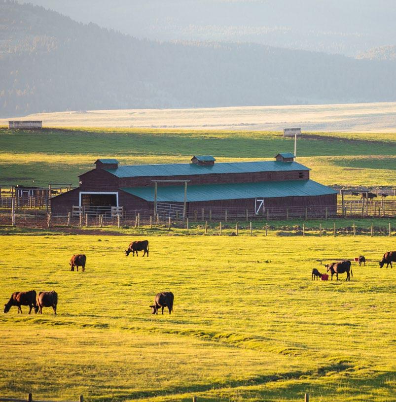 Montana Little Valley Ranch | Fay Ranches by Fay Ranches - Issuu