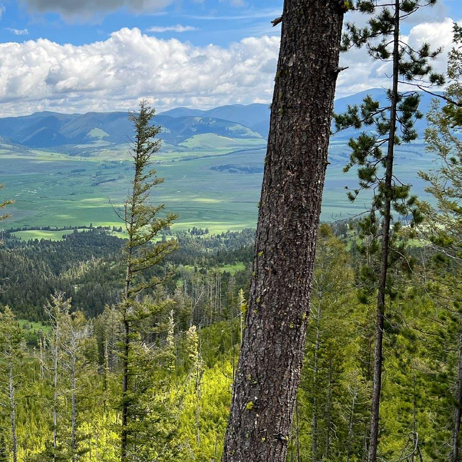 Montana Little Valley Ranch | Fay Ranches by Fay Ranches - Issuu