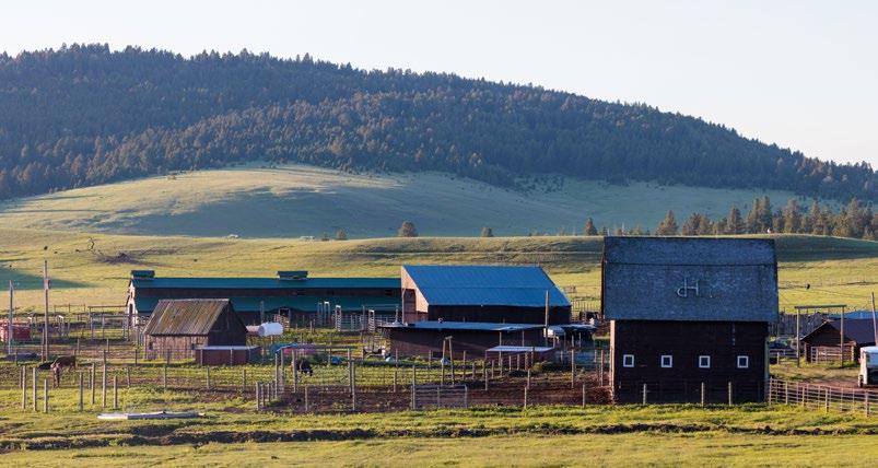 Montana Little Valley Ranch | Fay Ranches by Fay Ranches - Issuu