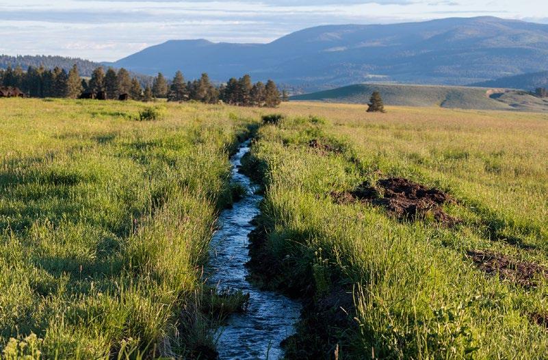 Montana Little Valley Ranch | Fay Ranches by Fay Ranches - Issuu