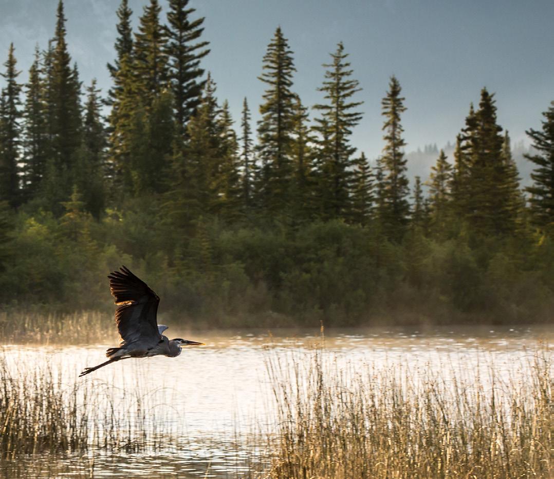 2024 Rocky Mountaineer Brochure by rockymountaineer - Issuu