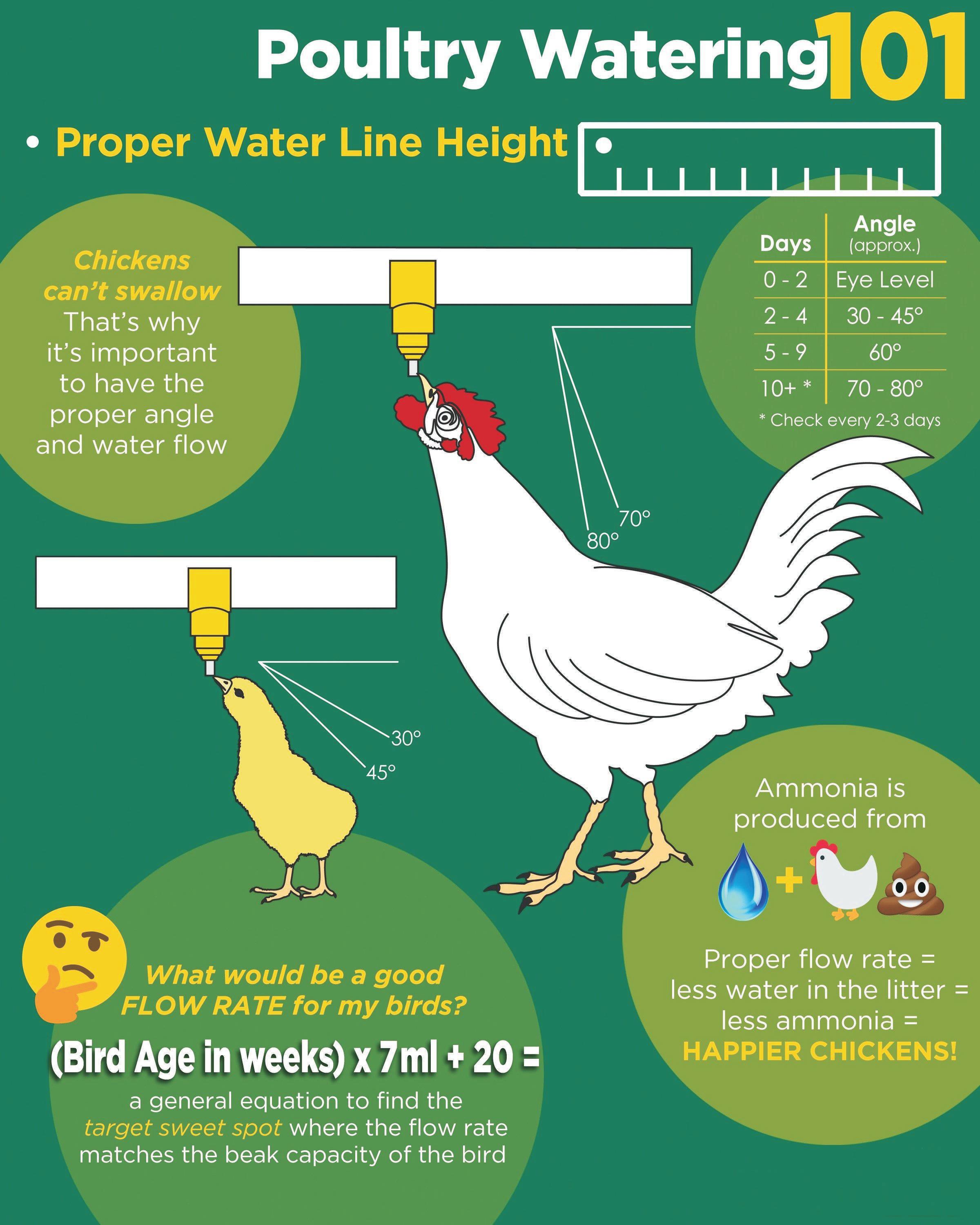 Poultry Vision Digital Issue June_2023 by Poultry Vision - Issuu