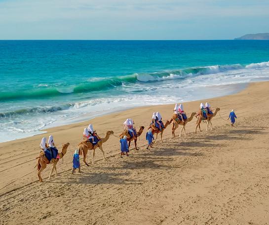 Digital Magazine Cabo Adventures - English 2022 by The Adventures Group ...