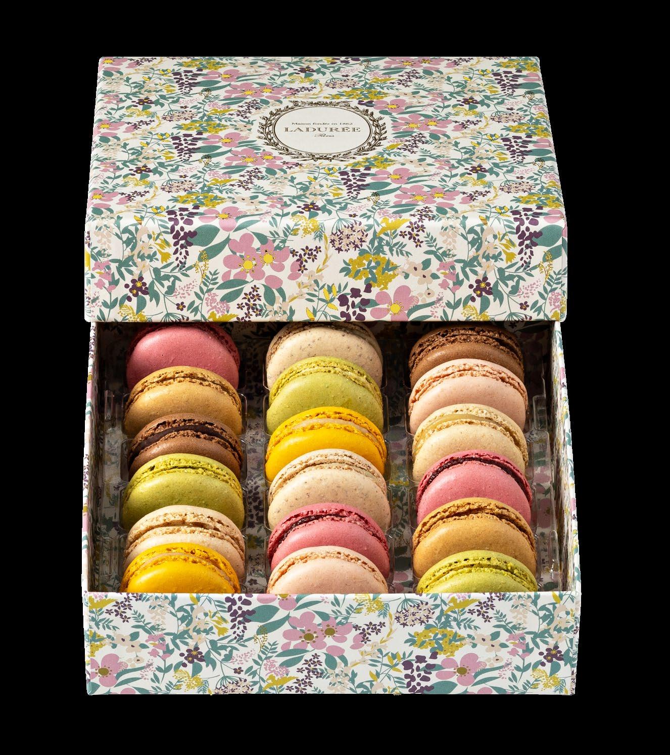 Macaron Brochure 2023 by ladureeusa - Issuu