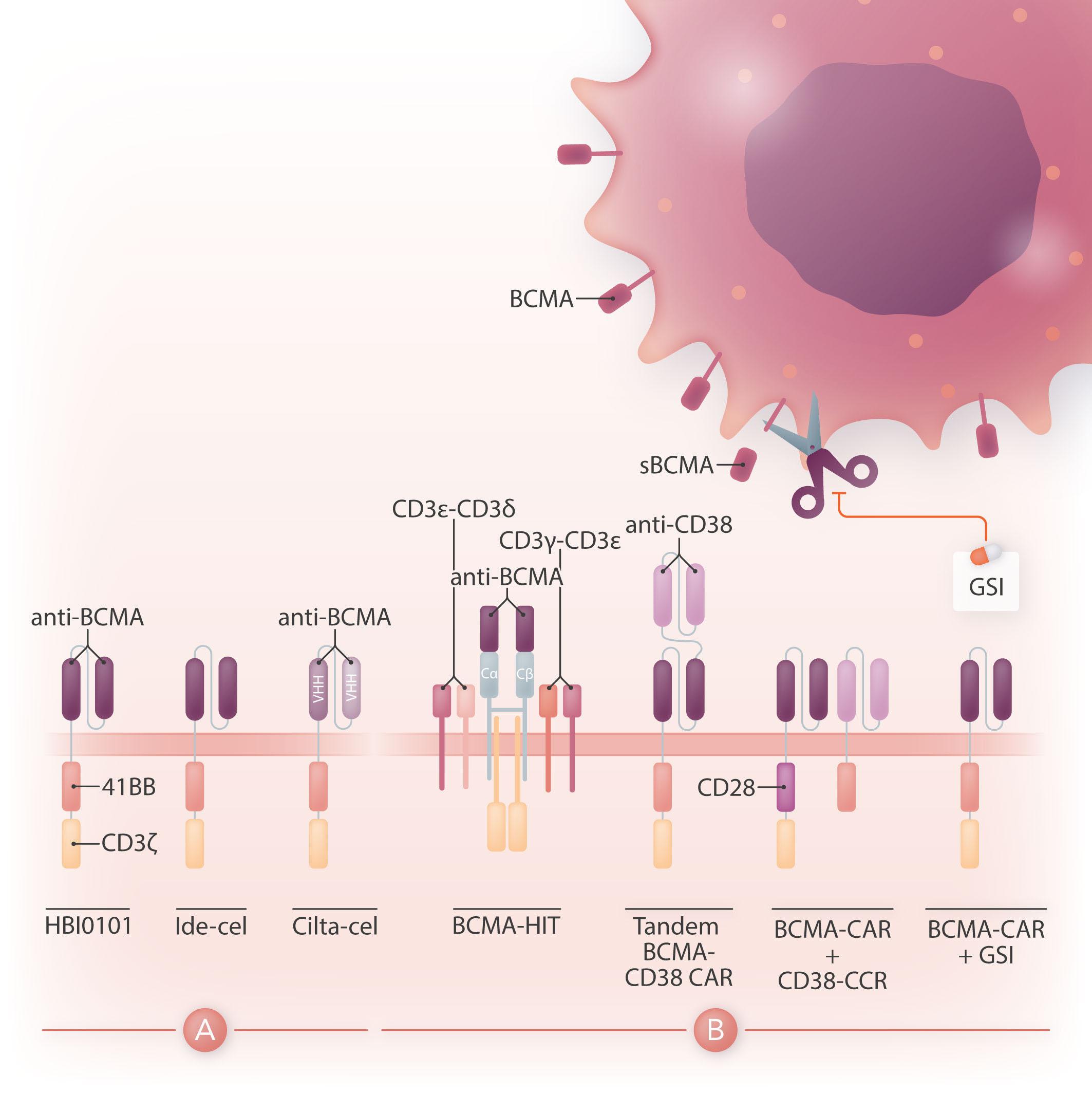 Haematologica, Volume 108, Issue 7 by Haematologica - Issuu