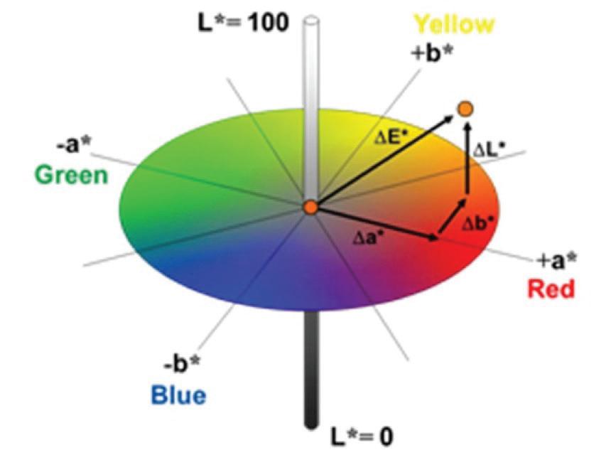 Practical guidelines to evaluate colors - DE by MCC Label - Issuu