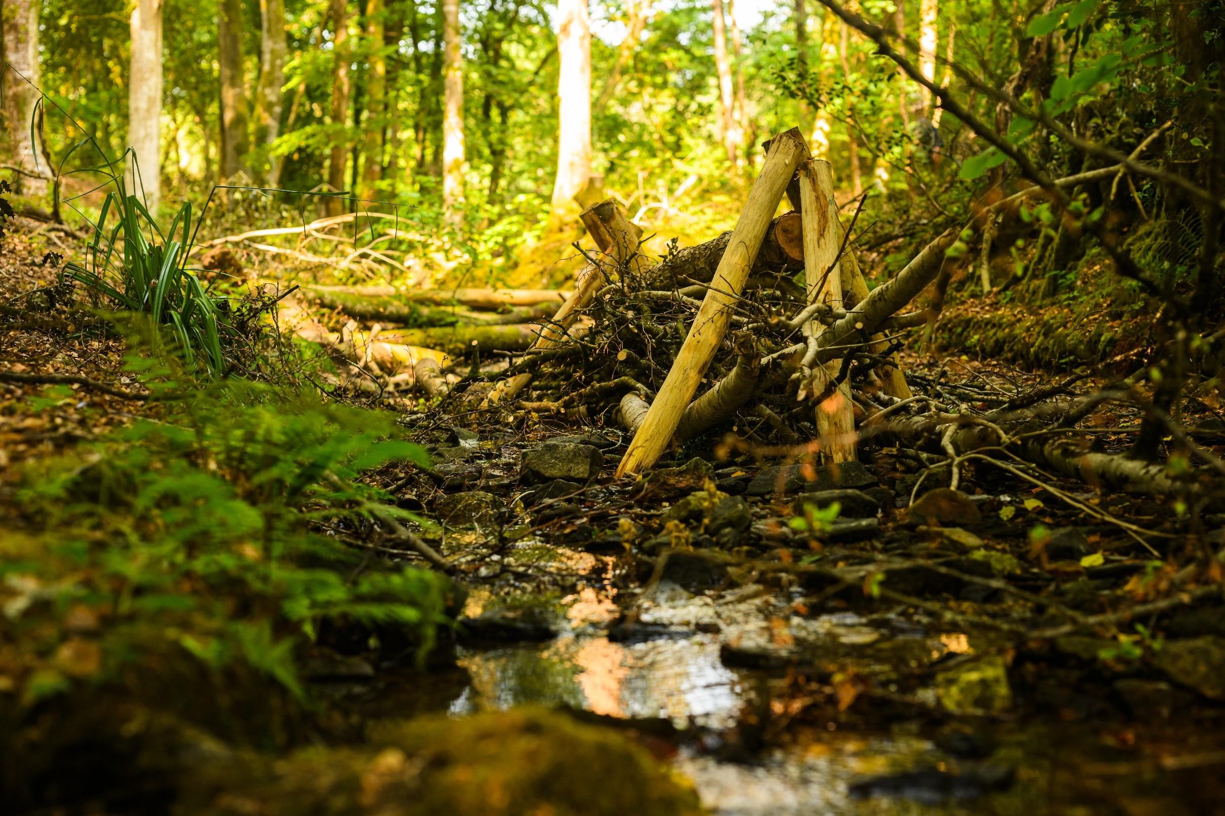 Plymouth Natural Grid - Nature-Based Solutions for Climate Change by ...