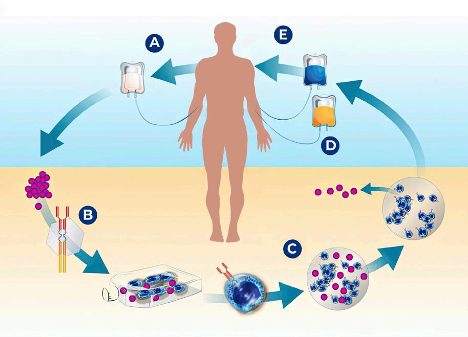 Understanding Carvykti® (ciltacabtagene autoleucel) by International ...