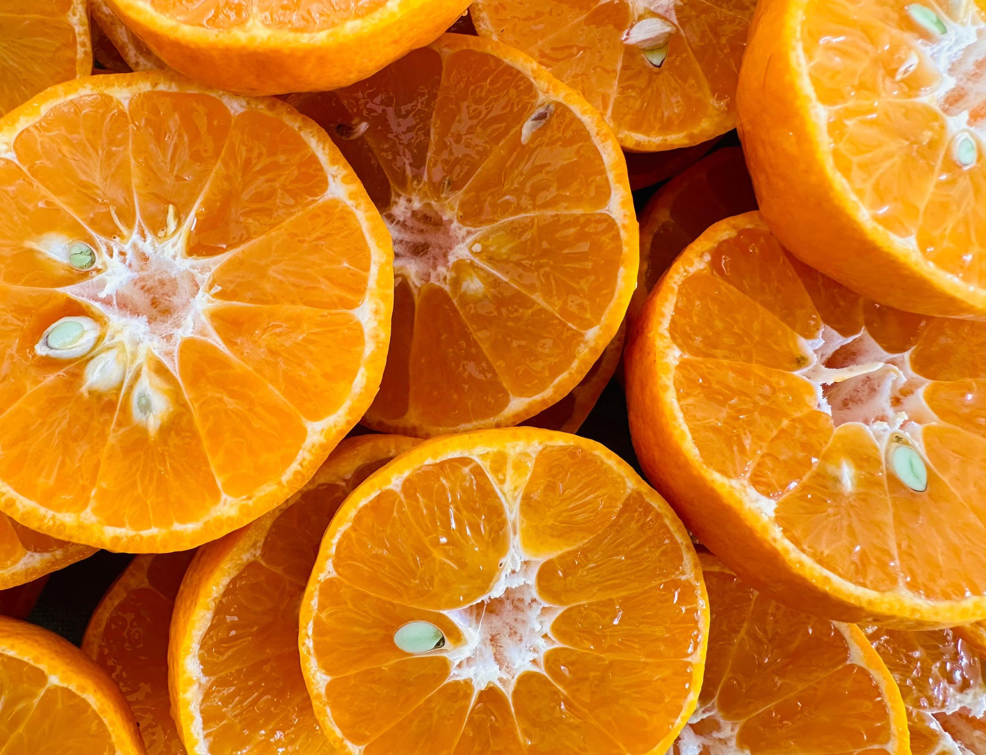 WS 2022-23 Board by Alice Speranza - Issuu