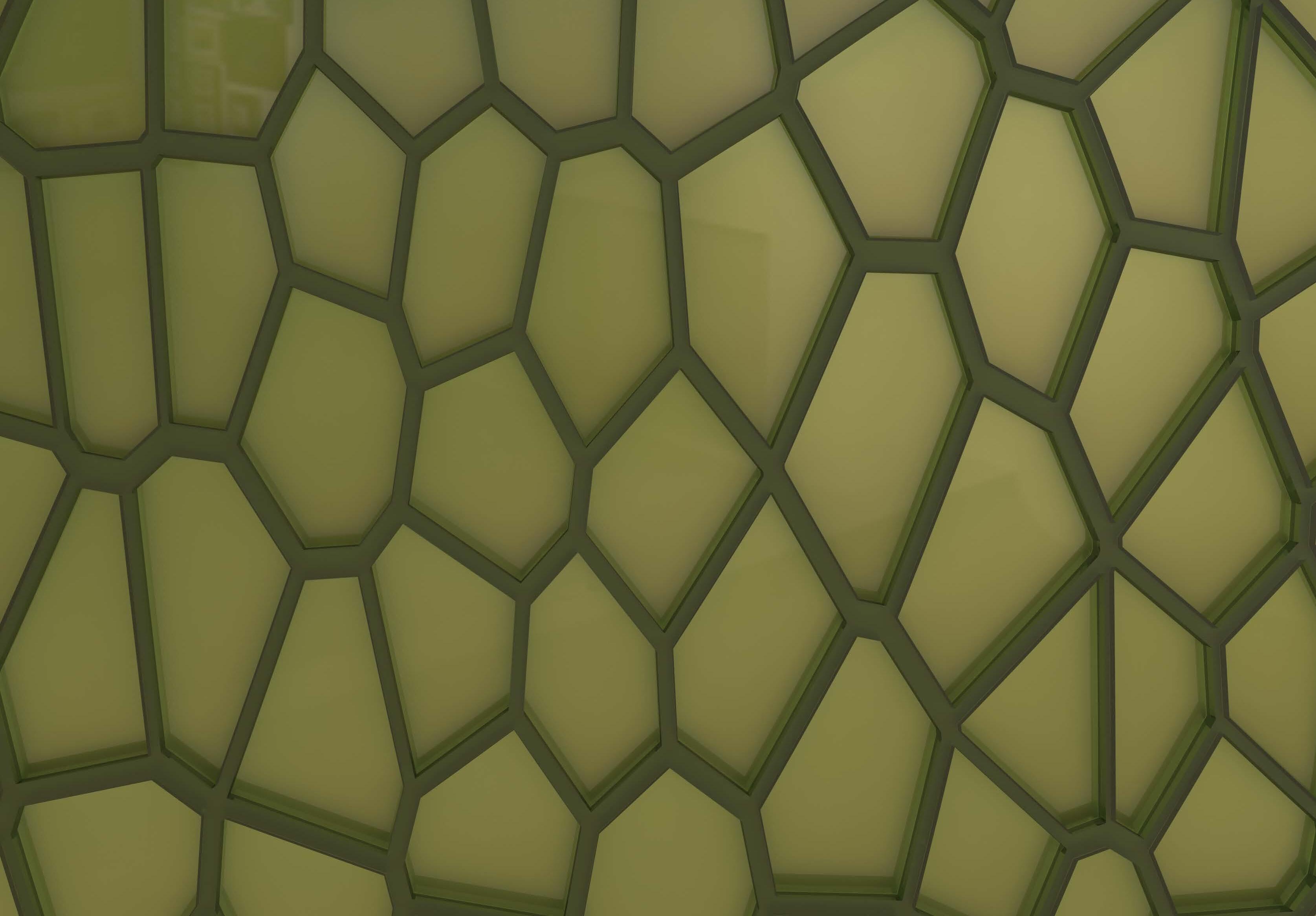 SS 2023 Natural Skin Board by Alice Speranza - Issuu