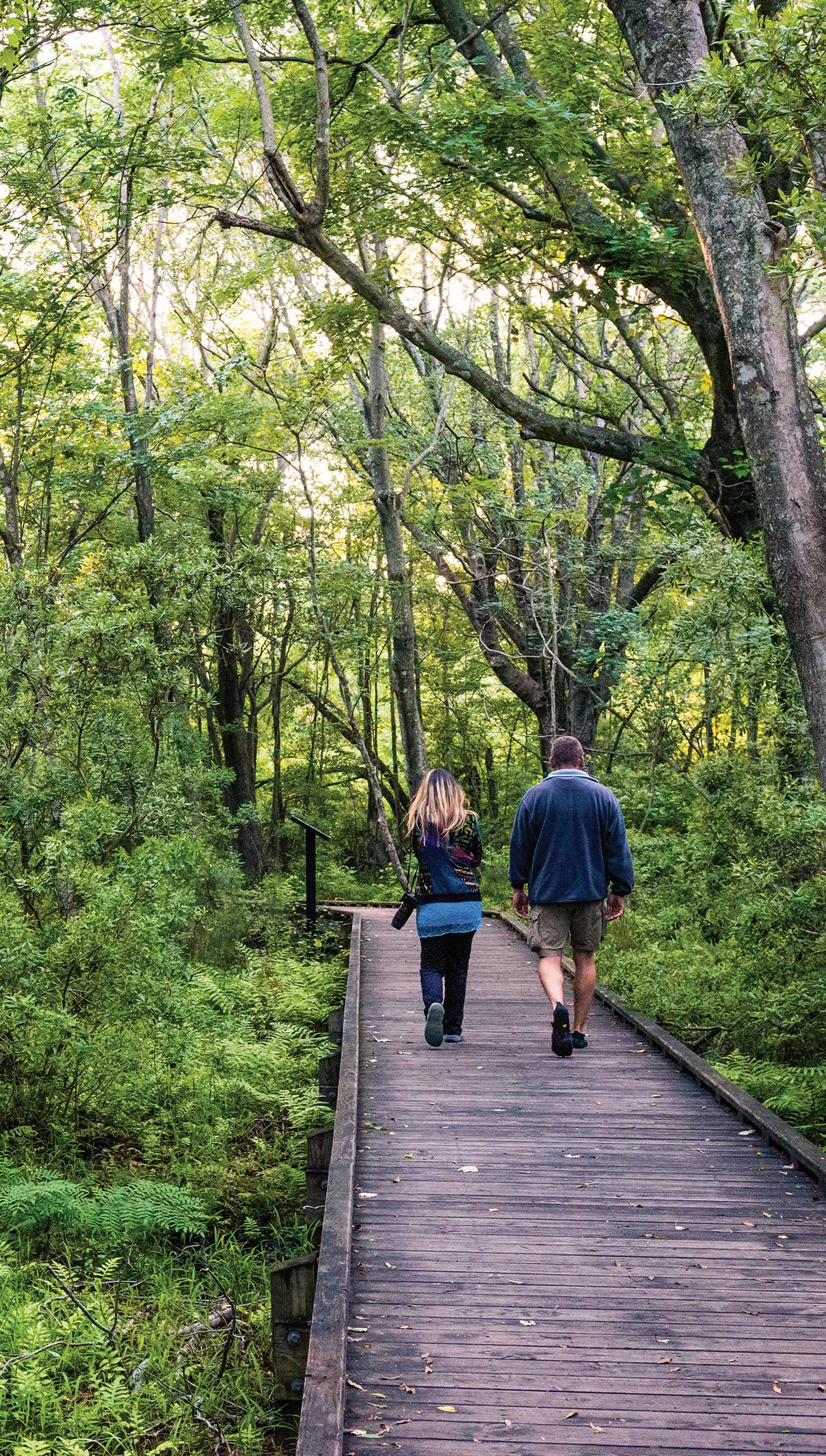 Currituck OBX Visitors Guide by Currituck Outer Banks Department of ...