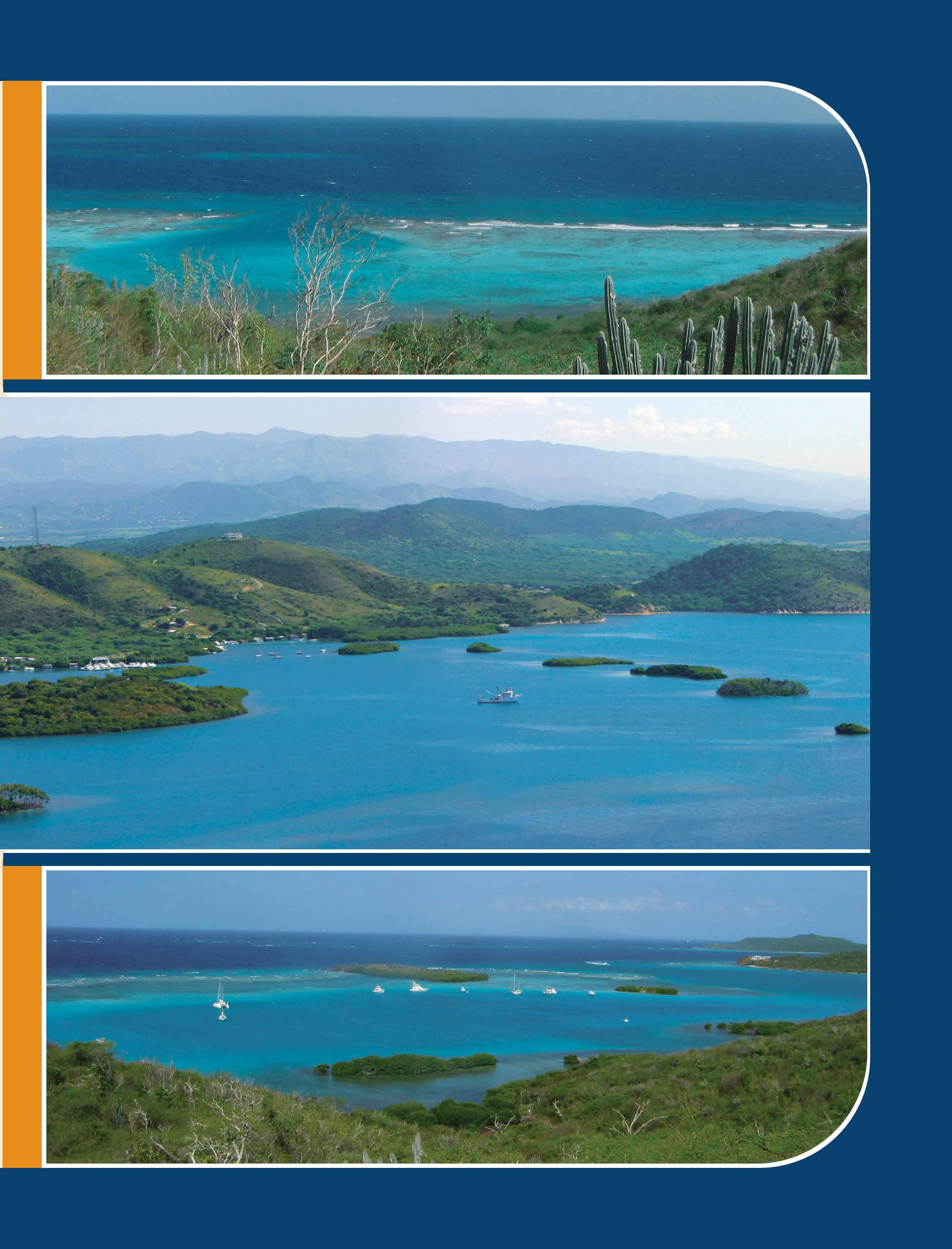 Los Arrecifes de Coral by Puerto Rico Sea Grant - Issuu