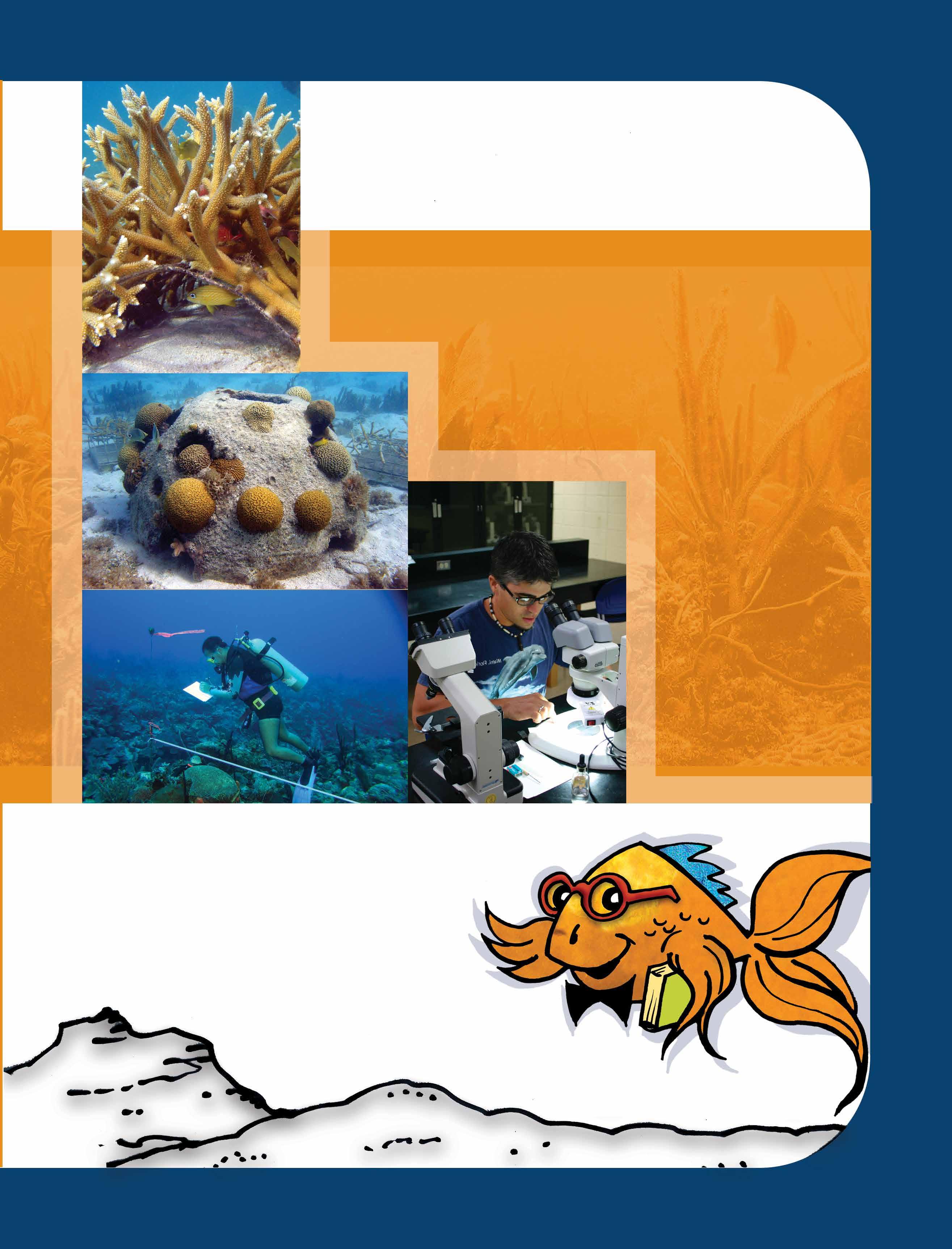 Los Arrecifes de Coral by Puerto Rico Sea Grant - Issuu